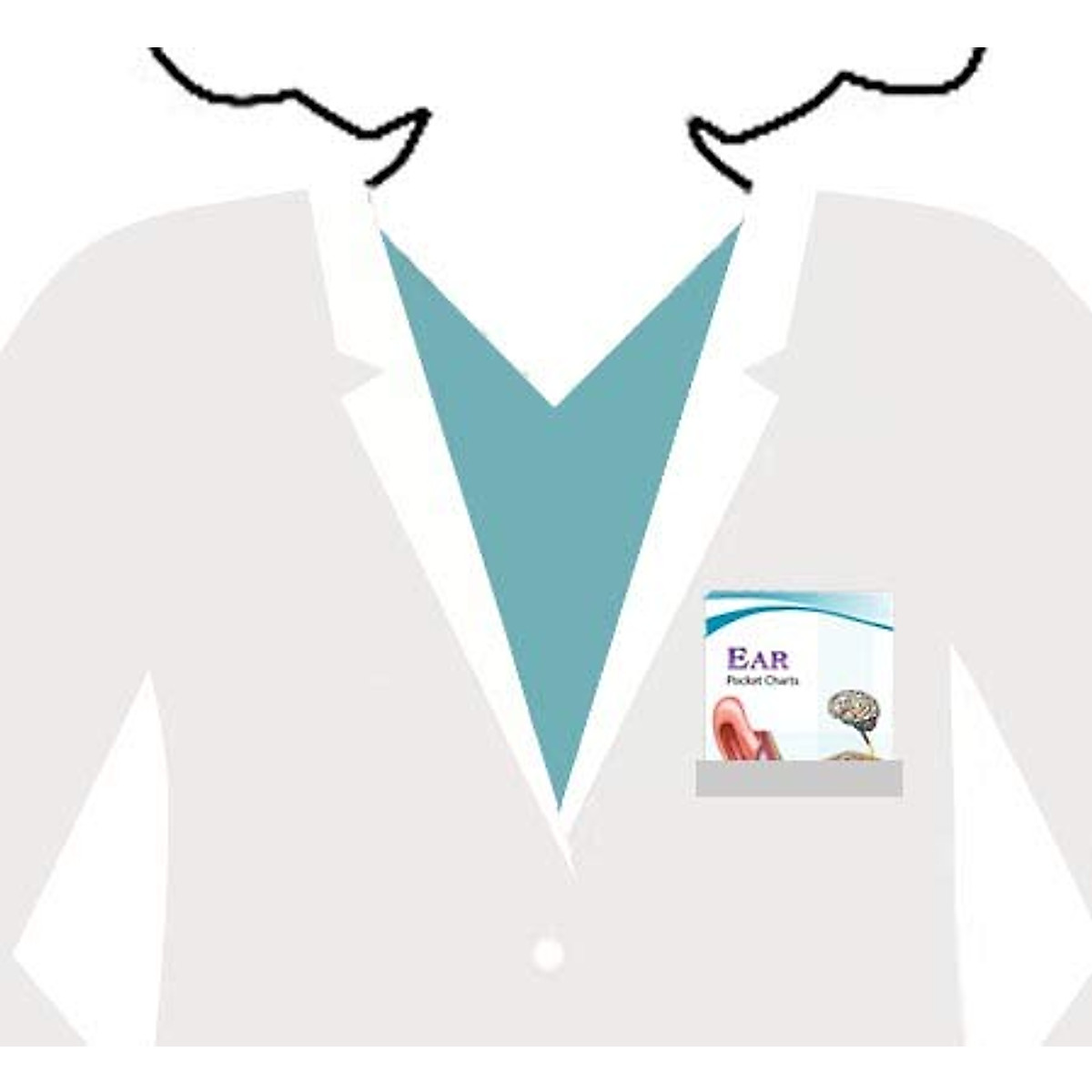 Blue Tree Publishing Ear Anatomy Pocket Charts