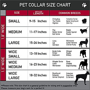 Buckle-Down Seatbelt Buckle Dog Collar - Monsters University Sulley & Mike Poses/Checkers Blue - 1" Wide - Fits 15-26" Neck - Large