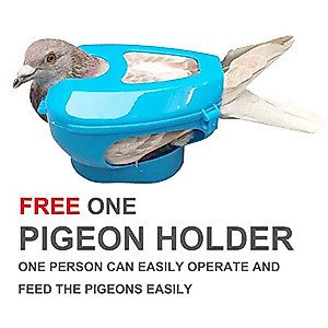 Young Birds Feeding Syringe 30ML Pigeon Parrot Chick Feeder Syringe Hose Birds Feeding Injector Birds Feeding Syringe Manual Feeding