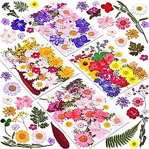 140 Pcs Dried Pressed Flowers for Resin, Real Pressed Flowers Dry Leaves Bulk Natural Herbs Kit for Scrapbooking DIY Art Crafts, Epoxy Resin Jewelry Molds, Candle, Soap Making, Nails Décor