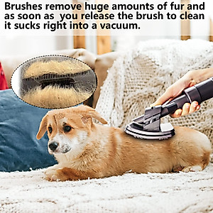 TEPULAS 4pcs Pet Grooming Kit for Dyson V15 V12 V11 V10 V8 V7 Vacuum Cleaners,Pet Attachments for Dyson,Ideal for Long or Medium Hair Dog