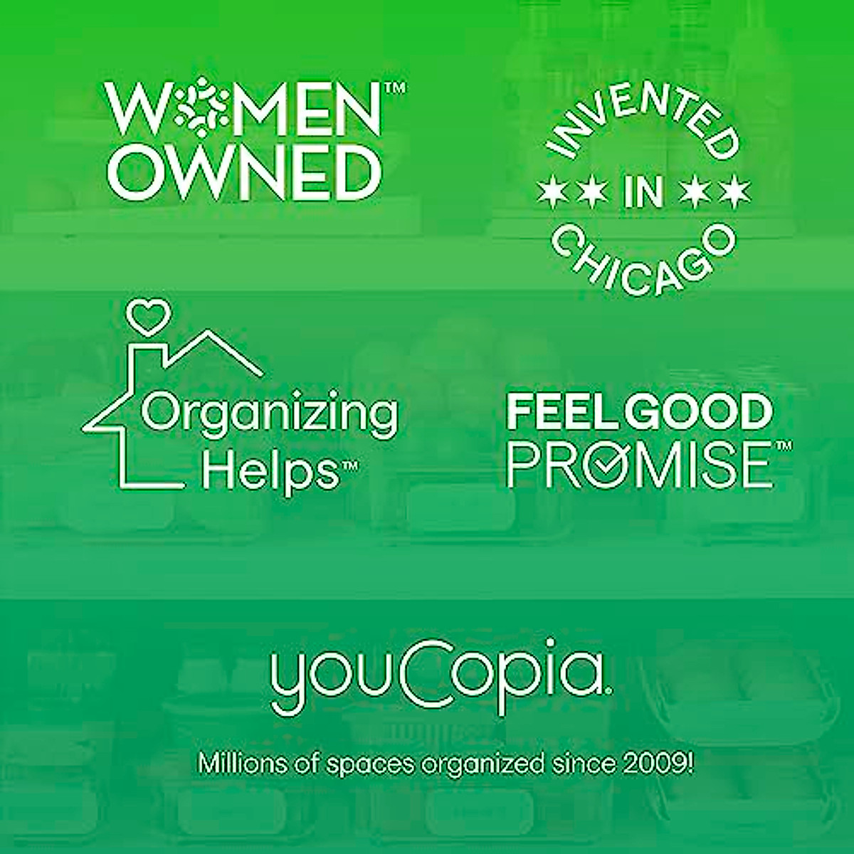 YouCopia, 10-Piece Set ReStickable 3D Fridge Labels, Reusable Nano-Suction, White