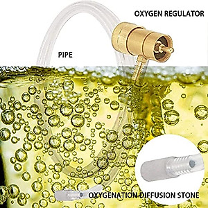 Joywayus Oxygen Injection System Home Brew Oxygenation Kit Diffusion Stone