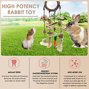 Bissap Bunny Chew Toy, Rabbits Cage Hanging Chew Toys and Treats Rattan Ring with Snacks for Guinea Pigs Chinchillas Hamsters Rats and Other Small Pets Teeth Grinding
