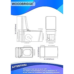 WOODBRIDGE Square Smart Bidet Toilet with Auto Open & Close, Foot Sensor, Auto Flush, Multiple Spray Modes, Heated Seat, Warm Water and Air Dryer, Auto LED Nightlight, Matte Black, EBT-MB03