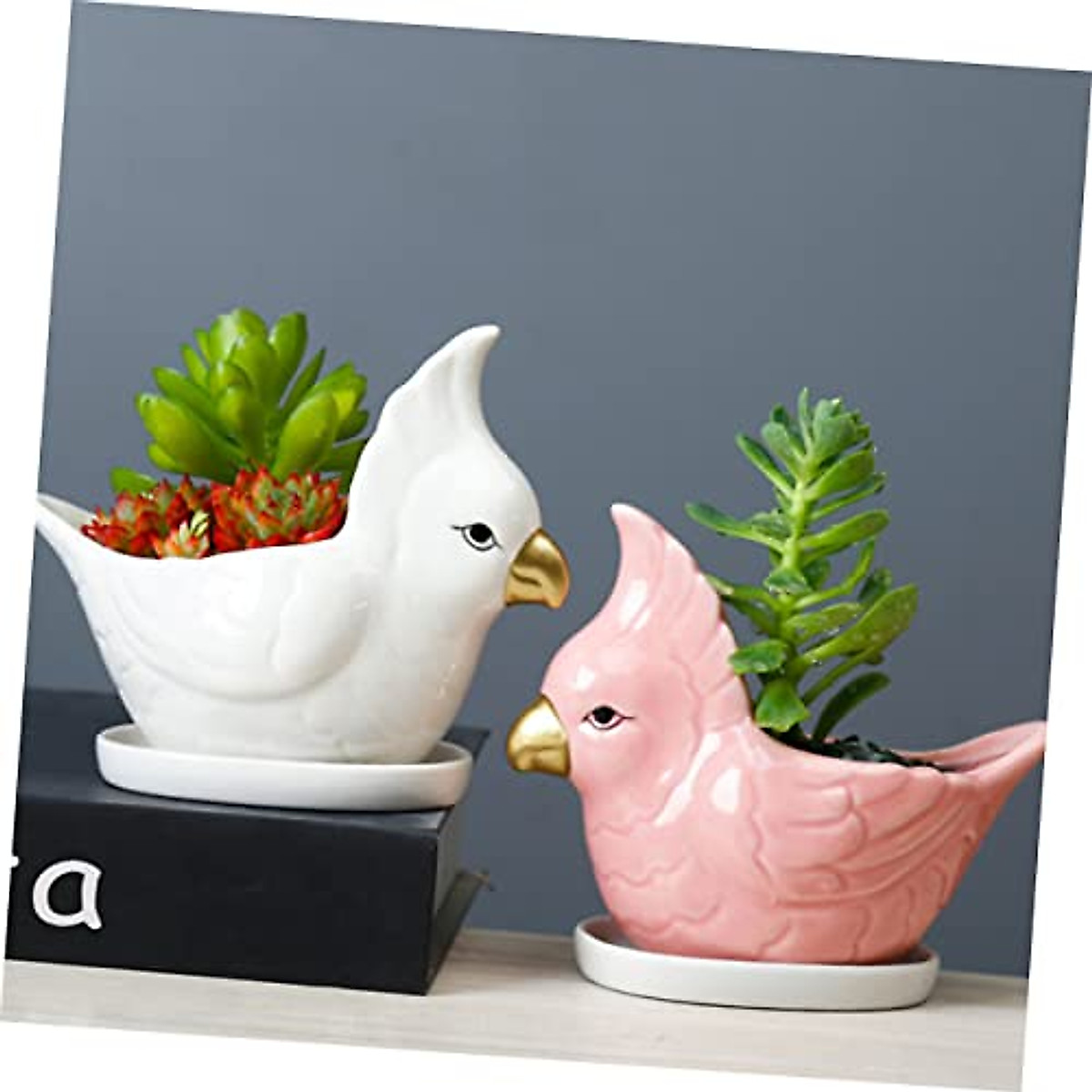 ORFOFE 1 Set Ceramic Flowerpot Parrot Animal Planter Ceramic vases for Flowers Animal Flower Pot Plant Pot Mini vases for Flowers Succulent Flowerpot Succulents Ceramics Small Ceramic