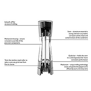 Cole & Mason H59408G Derwent Salt and Pepper Mills | Gourmet Precision+ | Stainless Steel/Acrylic | 190mm | Gift Set | Includes 2 x Salt and Pepper Grinders | Lifetime Mechanism Guarantee