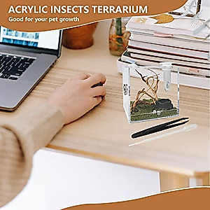 GKPONSX Jumping Spider Enclosure, Acrylic Snail SpiderTerrarium Insect Breeding Box with Tongs Bowls Dropper for Snail Insects Gecko Scorpion Sling Mantis Frog Isopods Hermit Crabs (Driftwood)