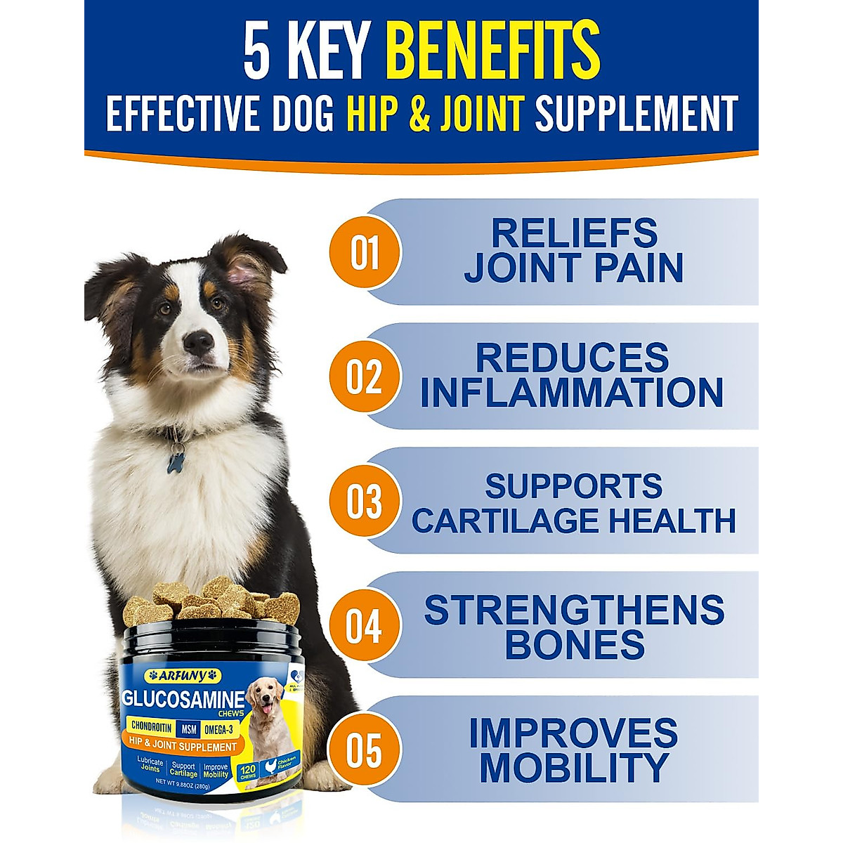 Joint Supplement For Dogs, Hip & Joint Health, Pain Relief, Mobility & Flexibility Support, Glucosamine, Chondroitin, MSM & Omega-3, Turmeric, Advanced Pet Vitamin (Chicken Flavor / 120 Chews)