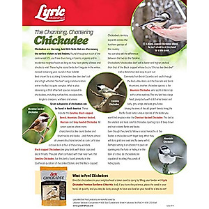 Lyric Chickadee Wild Bird Seed - Sunflower & Nut Premium Bird Food Mix for Chickadees, Nuthatches & Titmice - 20 lb bag