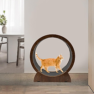 39.3in Cat Exercise Wheel, Large Cat Treadmill with Silent Carpeted Runway, Kitty Pet Sport Furniture Toy, Fitness Weight Loss Device for Indoor Cats (39.3 * 11.8 * 42.1IN)