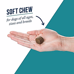 Alenza Soft Chews Aging Support for Dogs, 60 Count