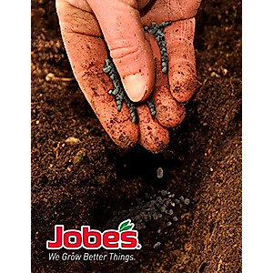 Jobe's Organics 09086 Tomato Slow Release Plant Food, 1 lb,red