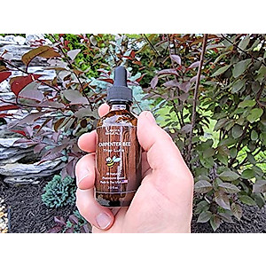 Carpenter Bee Trap Lure Attract More Bees to Your Traps All Natural Wood Bee Attractant