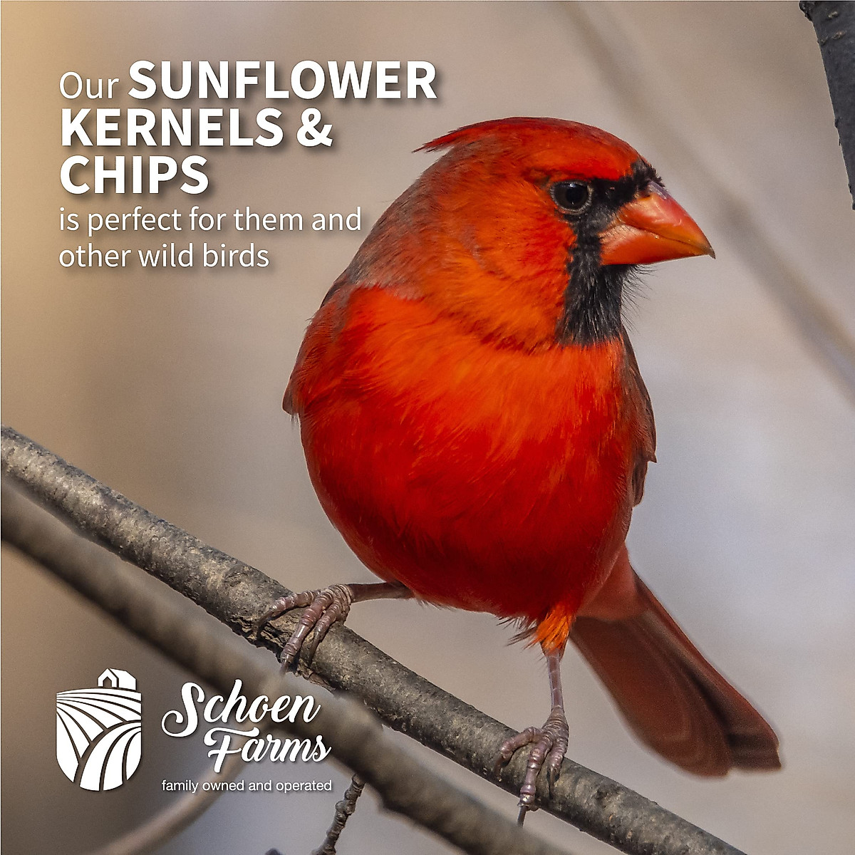 Schoen Farms Sunflower Kernels and Chips (6 LBS) Hearts, Bird Seed