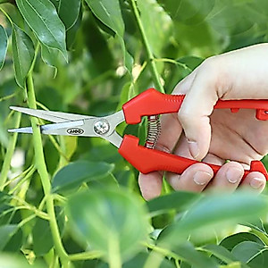 4 PCS Garden Shears, Stainless Steel Garden Scissors With PP Handle, Heavy Duty Hand Garden Clippers, Pruning Shears for flowers, plant, Floral and Bonsai