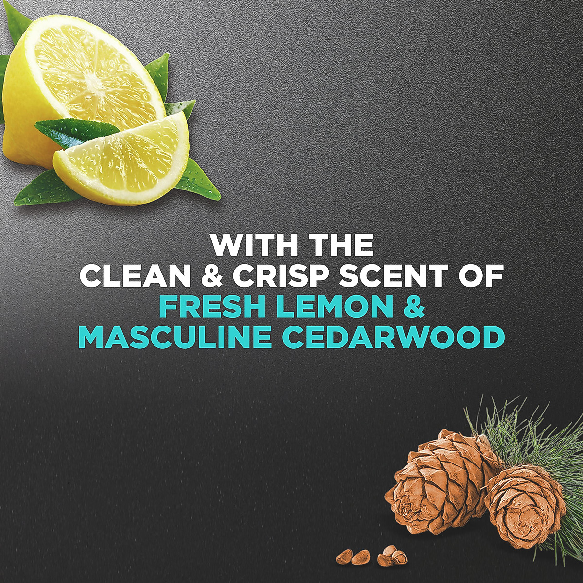 Dove Men+Care Body Wash and Face Wash Clean Comfort 13.5 oz for Dry Skin Effectively Washes Away Bacteria While Nourishing Your Skin