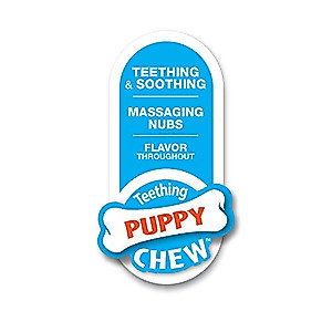 Nylabone Dental Dinosaur Puppy Chew Toy - Puppy Chew Toy for Teething - Puppy Supplies - Chicken Flavor, Small/Regular (1 Count)