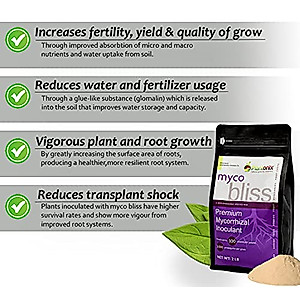 Myco Bliss - Mycorrhizal Inoculant for Plants - 5 Superior Strains - Organic Mycorrhizae Root Enhancer - Increases Nutrient Absorption & Crop Yields (1lb, Powder)
