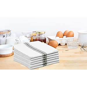 COTTON CRAFT - Scandia Stripe 12 Pack - Pure Cotton - Professional Commercial Restaurant Grade Kitchen Dish Tea Towel Cloth Napkins - Low Lint Sturdy Weave - Reusable - 16x28-30 Ounces - Charcoal