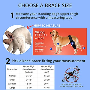 dreamynini Dog Knee Brace for Torn Acl Hind Leg, Dog Hip Support Brace for Cruciate Ligament Injury, Hip Dysplasia, Better Recovery with Adjustable Dog Leg Braces for Back Leg or Front Leg - Medium