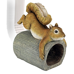 CRASH THE SQUIRREL RAIN GUTTER