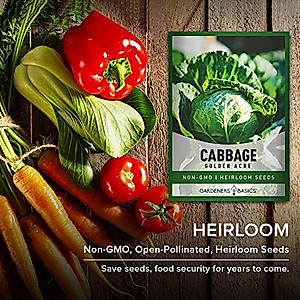 Cabbage Seeds for Planting - Golden Acre Green Heirloom, Non-GMO Vegetable Variety- 1 Gram Approx 225 Seeds Great for Summer, Spring, Fall, and Winter Gardens by Gardeners Basics