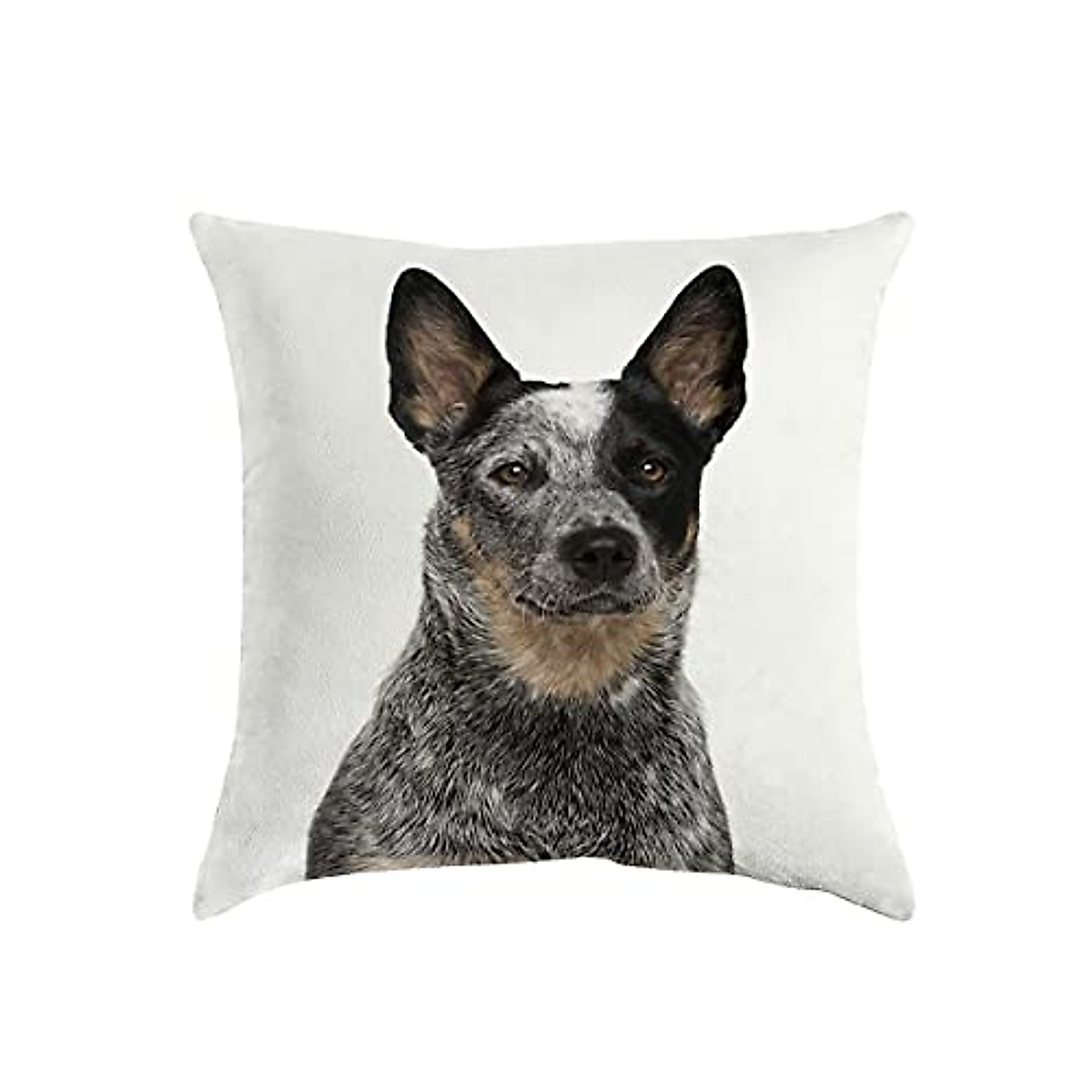 AERHOT Decorative Throw Pillow Cover Brown Away Closeup Australian Cattle Dog Front White Animals Wildlife Black Canine Carnivore Cut Velvet Cushion Cover for Sofa Couch Living Room Bed 18x18 Inch