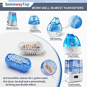 [2024 VER] 20X Humidifier Cleaner, Demineralization Cartridge for Humidifier Compatible with Protec Demineralization Cleaning Ball, Homedics Humidifier Filter Replacement & Humid Clean Cartridge