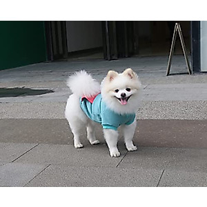 Upgraded Green SZAT PRO Teacup Dog Hoodies, 100% Cotton Puppy Clothes for Small Dogs and Cats, Chihuahua Clothes Pullover Sweaters for Dog Boys and Girls XXX-Small