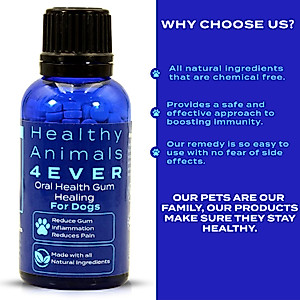 Healthy Animals 4 Ever Oral Health Gum Healing for Dogs - Relieves Inflammation, Soothes Pain, Fights Gum Disease - Natural, Non-GMO, Organic - Gluten, Preservative & Chemical Free Supplement - 300 ct