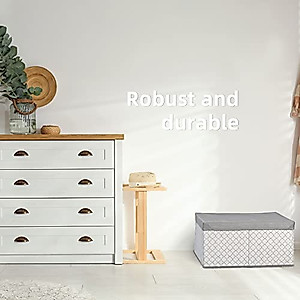 ShanSon Fabric Storage Bins 1 Pack One Click Installation Storage Cubes with Lids Foldable Storage Baskets with Cover for Home Bedroom Kids Room Closet Office Nursery and Toys Organization Grey