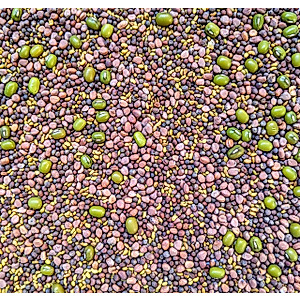 Variety Pack Sprouting Seeds Broccoli, Alfalfa, Radish, Mung beans & Salad Mix for Sprouts and Microgreens. Non-GMO. Pack of 10 premeasured seeds for quart size jars or trays. Includes 2 packs of each