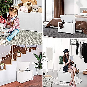 ZENY Lift Top Storage Cabinet Bench, Wooden Toy Chest Toddler Room Organizer Bin with 2 Safety Hinges (White)