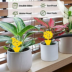 200 Sheets Fruit Fly Traps Sticky Traps for Fruit Fly Gnat Trap for House Indoors Sticky Traps Catcher for Gnats Fungus Gnats Mosquito Catcher Traps for Kitchen Outdoor Plants (Yellow)