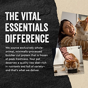 Vital Essentials Freeze Dried Raw Single Ingredient Cat Treats, Duck Liver, 0.9 oz