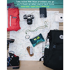 Combat Wipes ACTIVE Outdoor Wet Wipes - Extra Thick Camping Gear, Biodegradable, Body & Hand Cleansing/Refreshing Cloths for Backpacking & Gym w/Natural Aloe & Vitamin E(4 packs, 25 wipes each)