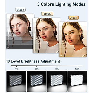 2 Pack Photography Video Lighting Kit, LED Video Light with 62'' Tripod Stand, Tinpops 2500-8500K Studio Streaming Lighting for Video Recording Live Game Podcast YouTube Portrait Photo Shooting