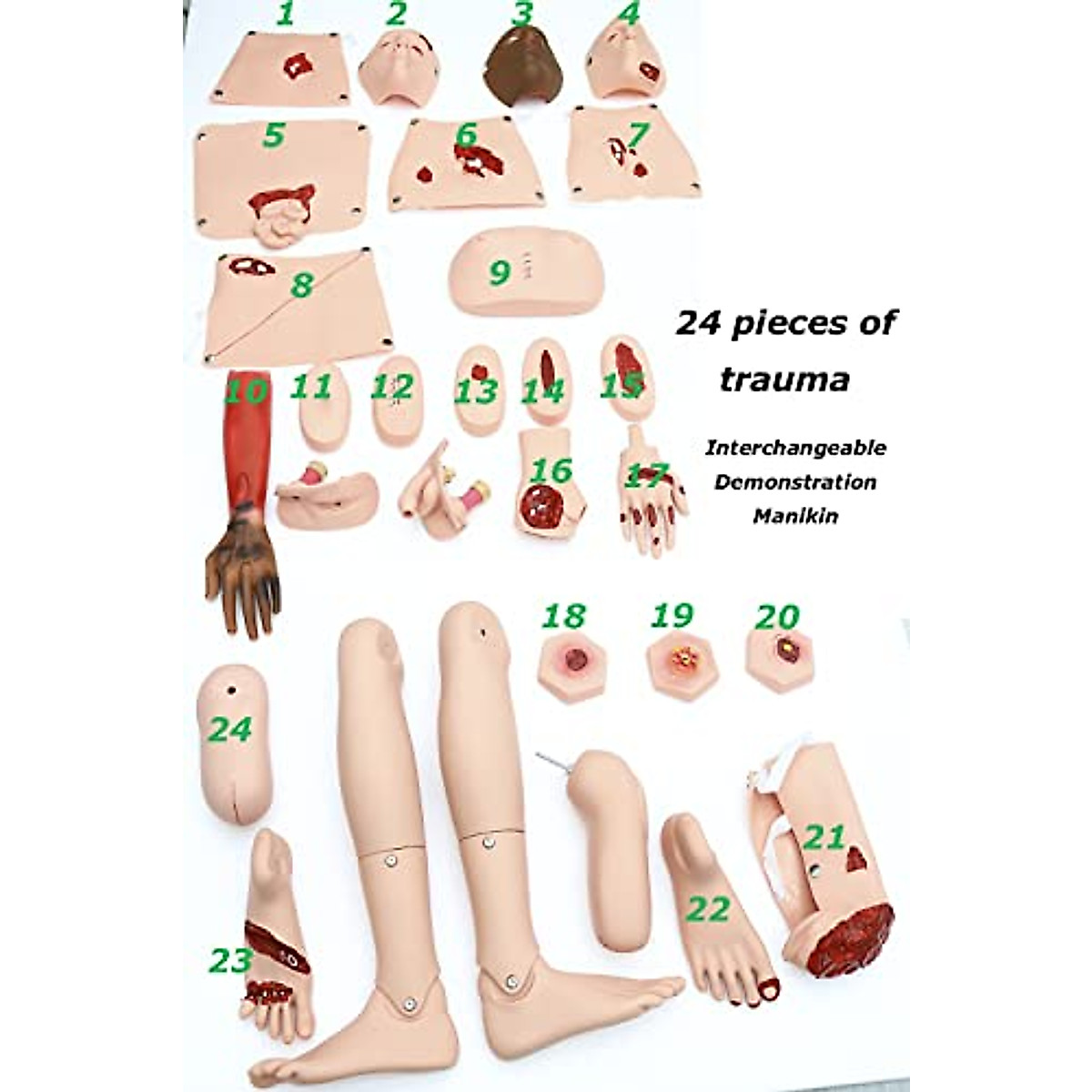 PreAsion Manikin Training 24 Wound ModulesTrauma Manikin Care Multi Functional Anatomical Human Model Advanced Training Manikin Model Demonstration Manikin for Men and Women Life-Size Nursing Model