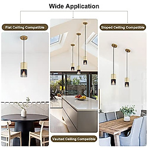 LINSEEDS Pendant Light Fixtures, Black and Gold Adjustable Modern Pendant Lights for Kitchen Island, Industrial Glass Pendant Lights for Dining Table Hallway Bedroom Living Room,1 Pack