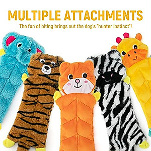 AWOOF Dog Squeaky Toys No Stuffing, Crinkle Dog Toy (Animals)