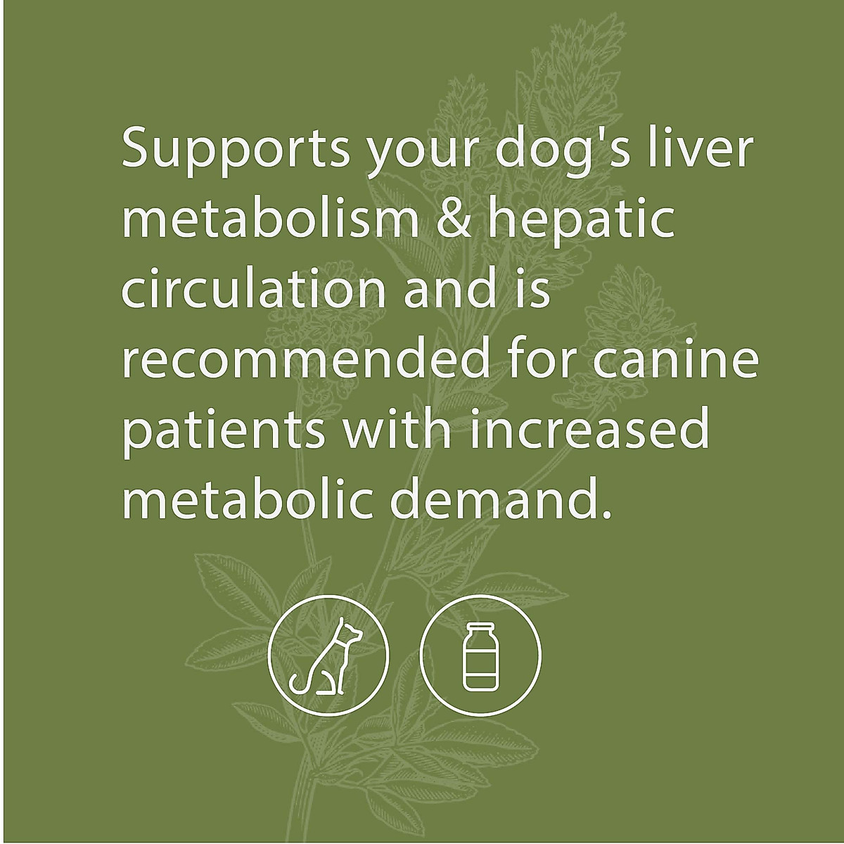 Standard Process - Canine Hepatic Support - Liver Metabolism Support for Dogs - 30 Grams
