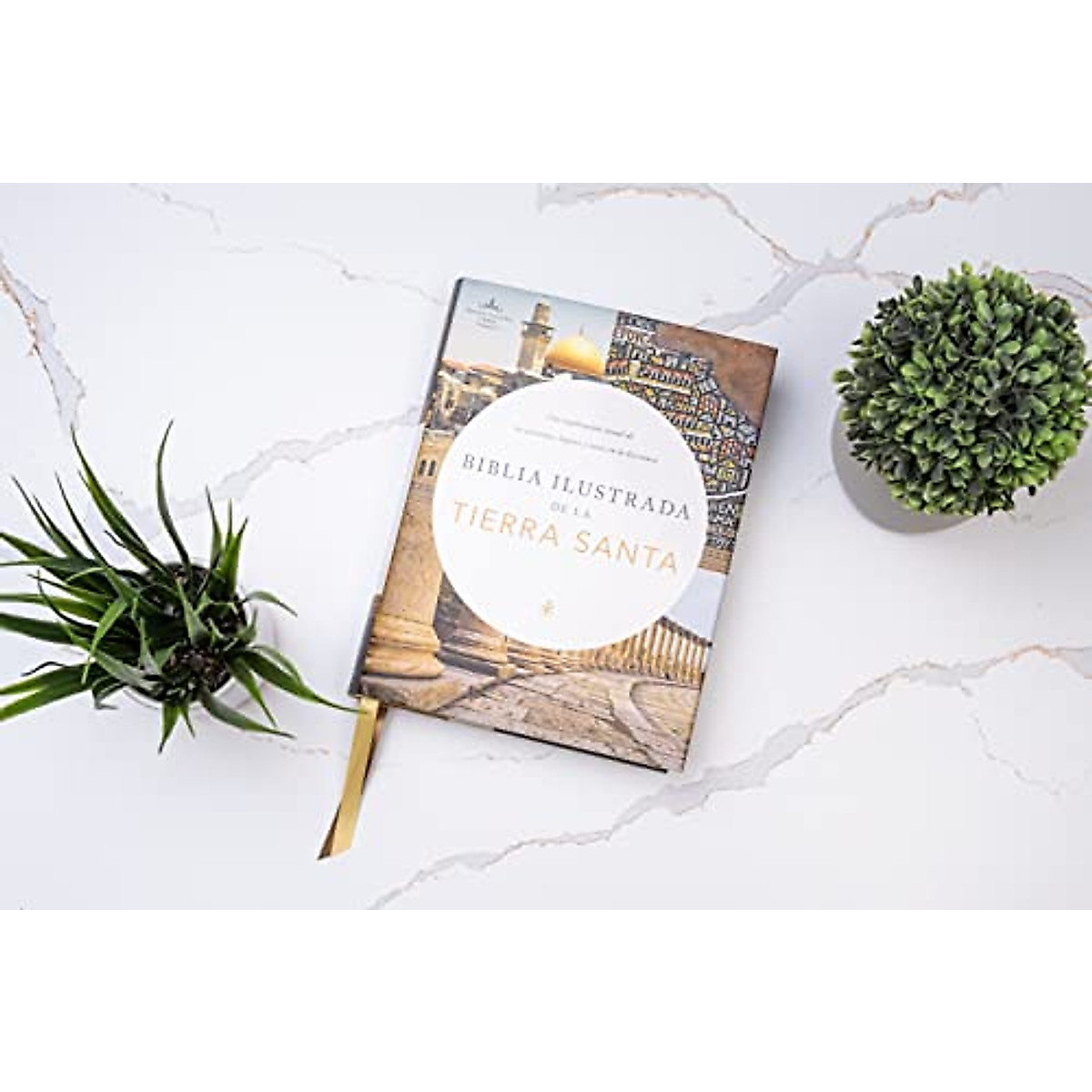 RVR 1960 Biblia ilustrada de la Tierra Santa, tapa dura / RVR 1960 Holy land Study Bible, Hardcover (Spanish Edition)