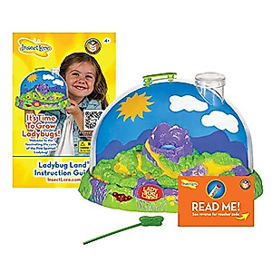 Insect Lore Live Ladybug Growing Kit Toy -unisex-children Original Ladybug Land