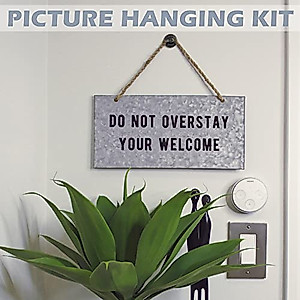 40 Pcs Double Headed Picture Hangers Nails Black Thumb Tacks Small Head Hanging Nails Push Pins Decorative Wall Hooks for Hanging Home Office Hanging Picture Photo Decorations