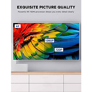 Purefix USB C to HDMI Cable Adapter for Nintendo Switch, Type C to 4K60Hz HDMI with 100W PD Powering Cord for MacBook Pro Air, iPad Pro, Microsoft Surface, Samsung Dex, Dell XPS & More