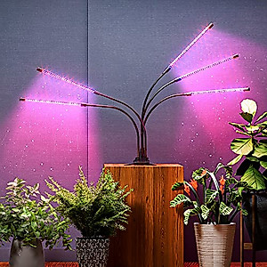 GroDrow Grow Lights for Indoor Plants, 150 LED Grow Light for Seed Starting with Red Blue Spectrum, 3/9/12H Timer, 10 Dimmable Levels & 3 Switch Modes, Adjustable Gooseneck Suitable for Various Plant