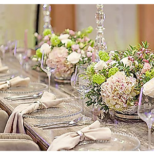 Lawei 6 Pack Clear Plastic Charger Plates with Bead Rim, 13 Inch Plastic Round Serving Plates Decor Dinner Plates for Party Wedding Events Dinner Decoration