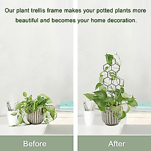 WellSign Small Trellis for Potted Plants, 15.94 inch Metal Plant Trellis for Climbing Plants Indoor Pot Honeycomb Shape Lattice for Ivy Vines Hoya Houseplants Flower 2 Pack