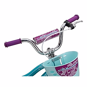 Schwinn Koen & Elm BMX Style Toddler and Kids Bike, For Girls and Boys, 14-Inch Wheels, With Saddle Handle, Training Wheels, Chain Guard, and Front Basket, Recommended Height 36-40 Inch, Teal